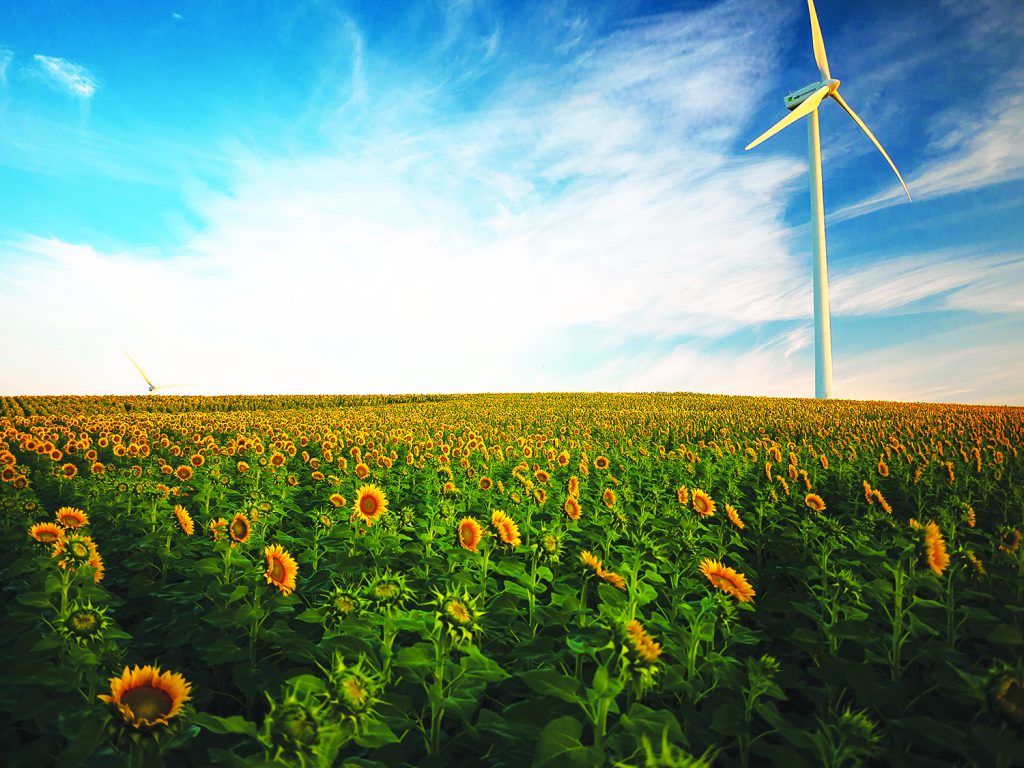 Arcadia Power Is Bringing Renewable Energy Innovation to Households ...