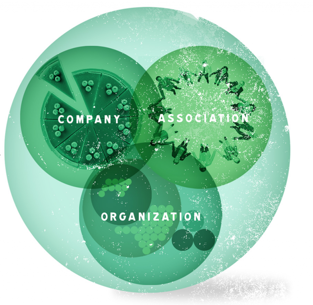 Holacracy: This Organizational System Can Change the Game SOCAP Global